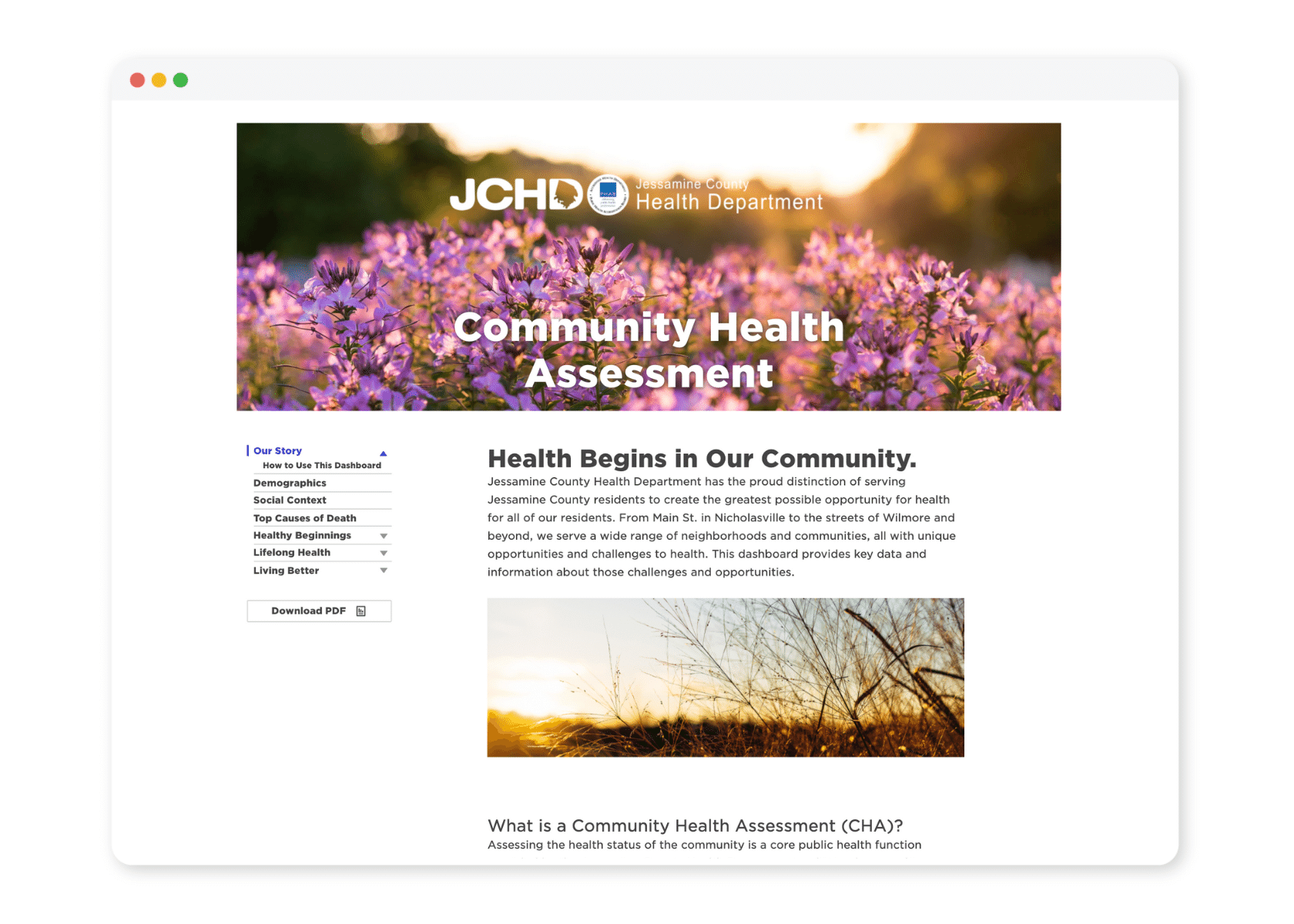 Population Health Templates | CHA & CHIP